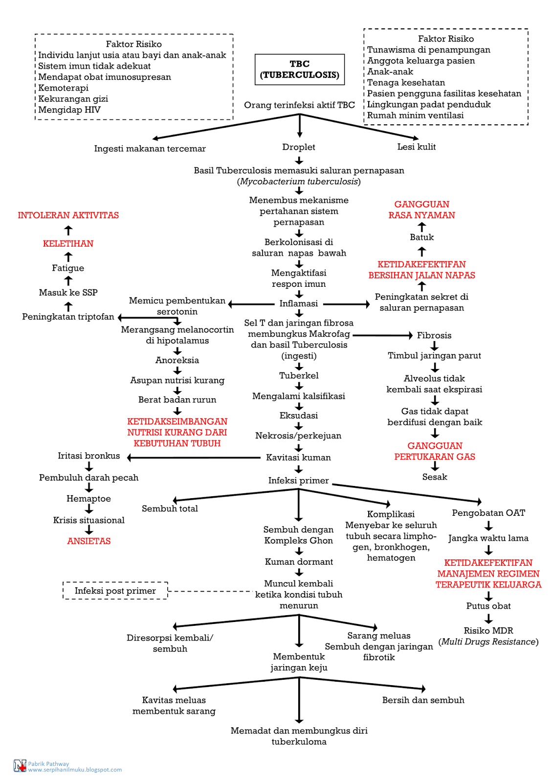 Pathway TBC (Tuberculosis)