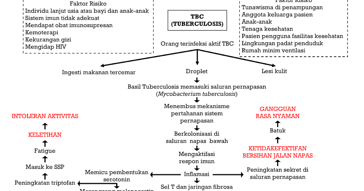 Askep Anc Trimester 3