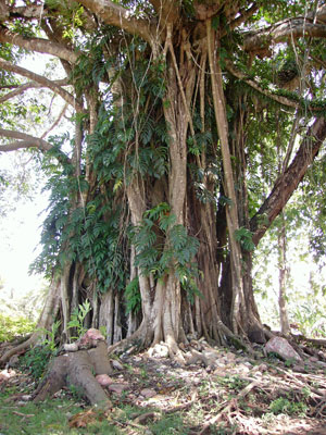 Exploring the Unexplored: UnExPLoReD, UnTouched, UnSpoiLed