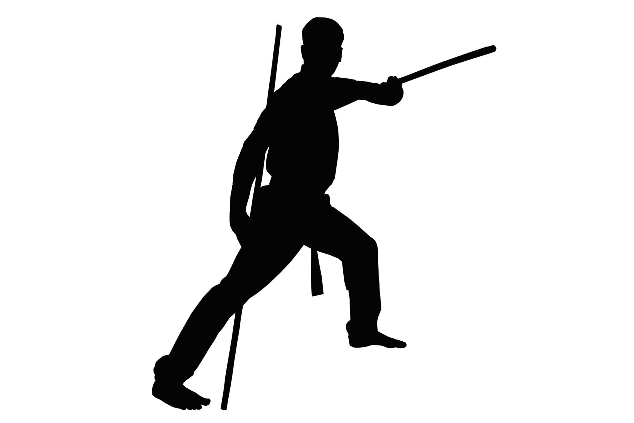 Panchabootha International Martial Arts Academy: Silambam Clipart , vector