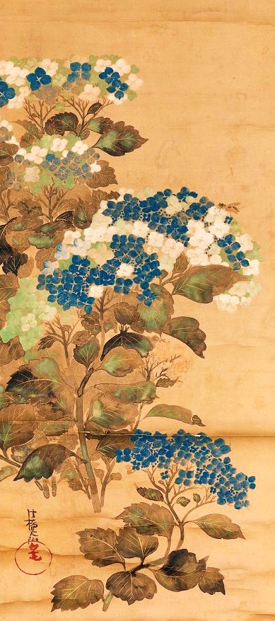 Shoreline Area News: Photos: Hydrangeas in Japanese art