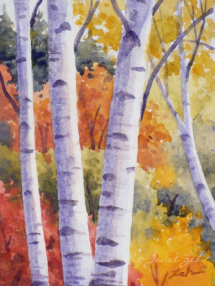 Janet Zeh Original Art Watercolor and Oil Paintings: Paper Birch Tree ...
