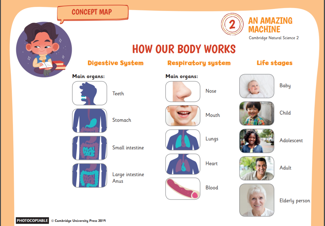 Natural Science UNIT 2 AN AMAZING MACHINE How our body works