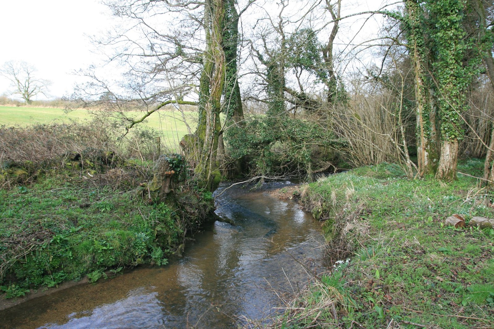 Walking Dorset's gridsquares: March 2017