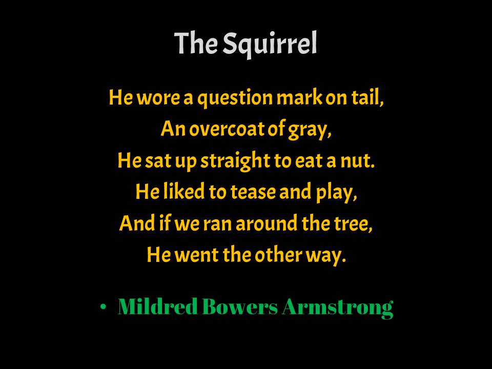 apsg: Class 7 : "The Squirrel"- Text & Summary