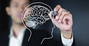 ¿Qué es un neuromito?