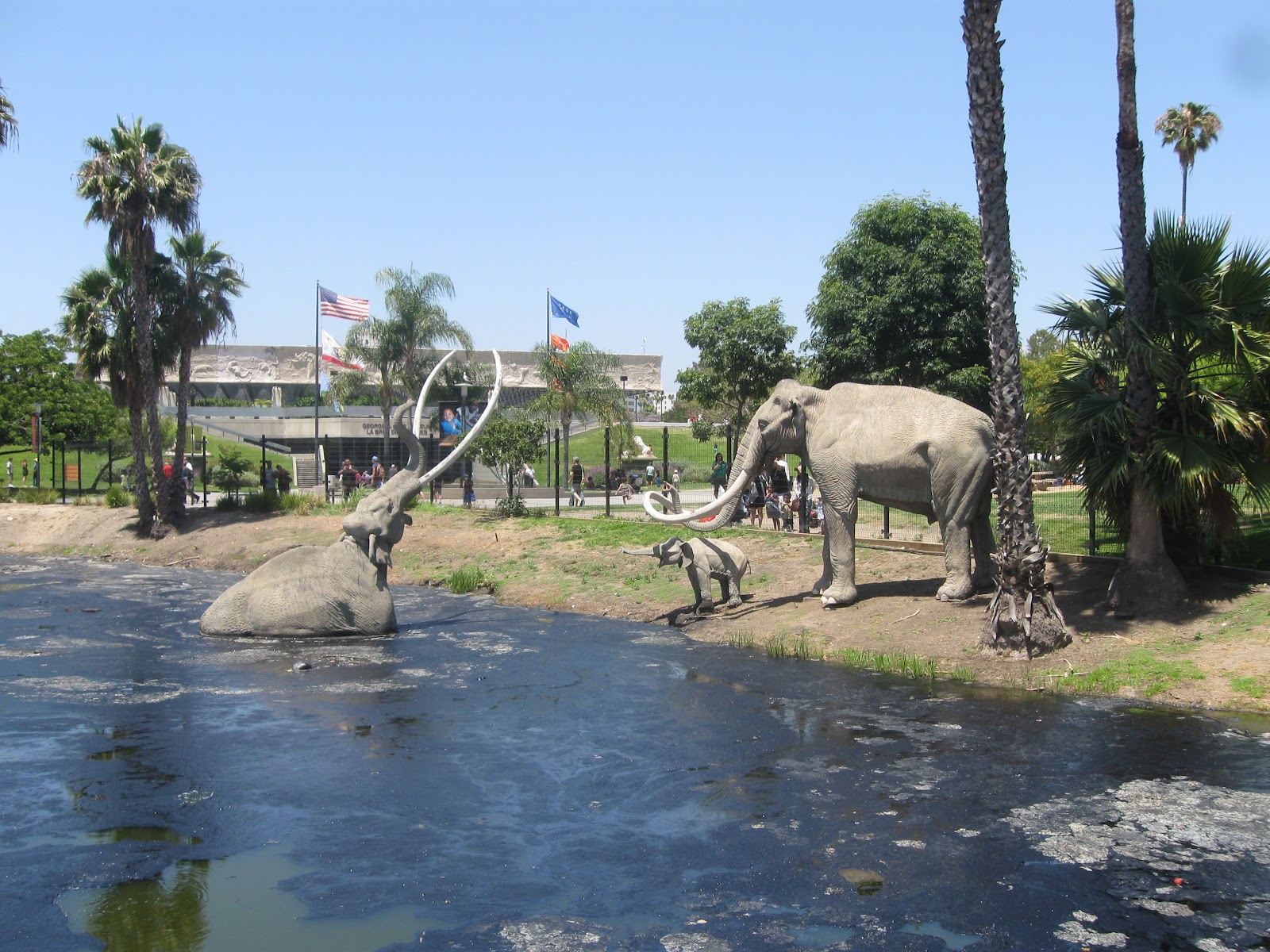 Road Trip 2012: La Brea Tar pits