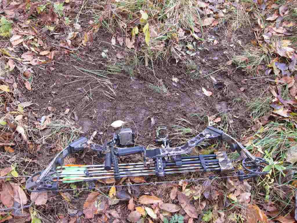 trophy-hunting: Illinois Bow Hunt Report - 10-12-13