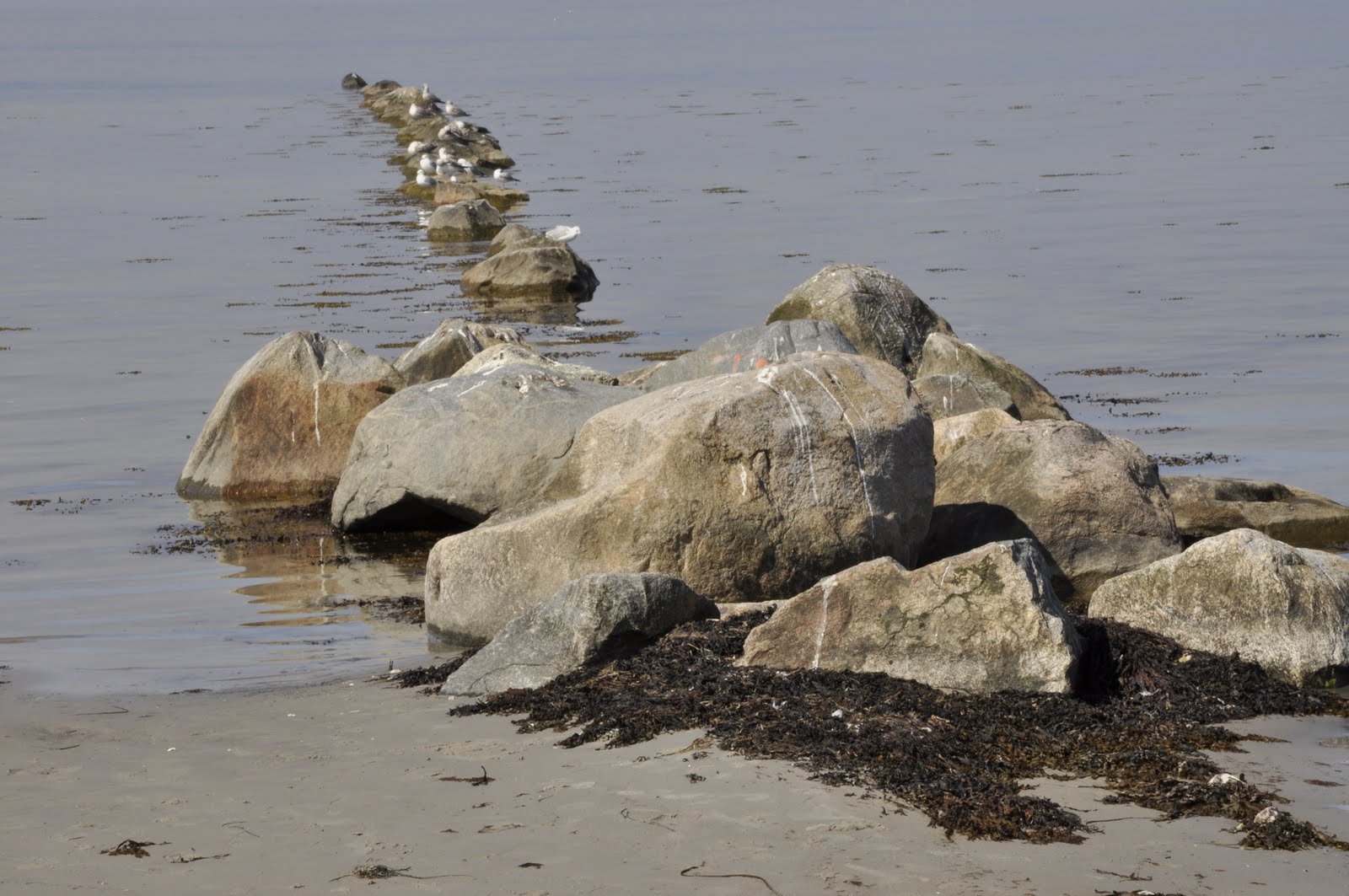 Foto och andra bilder: Ribban