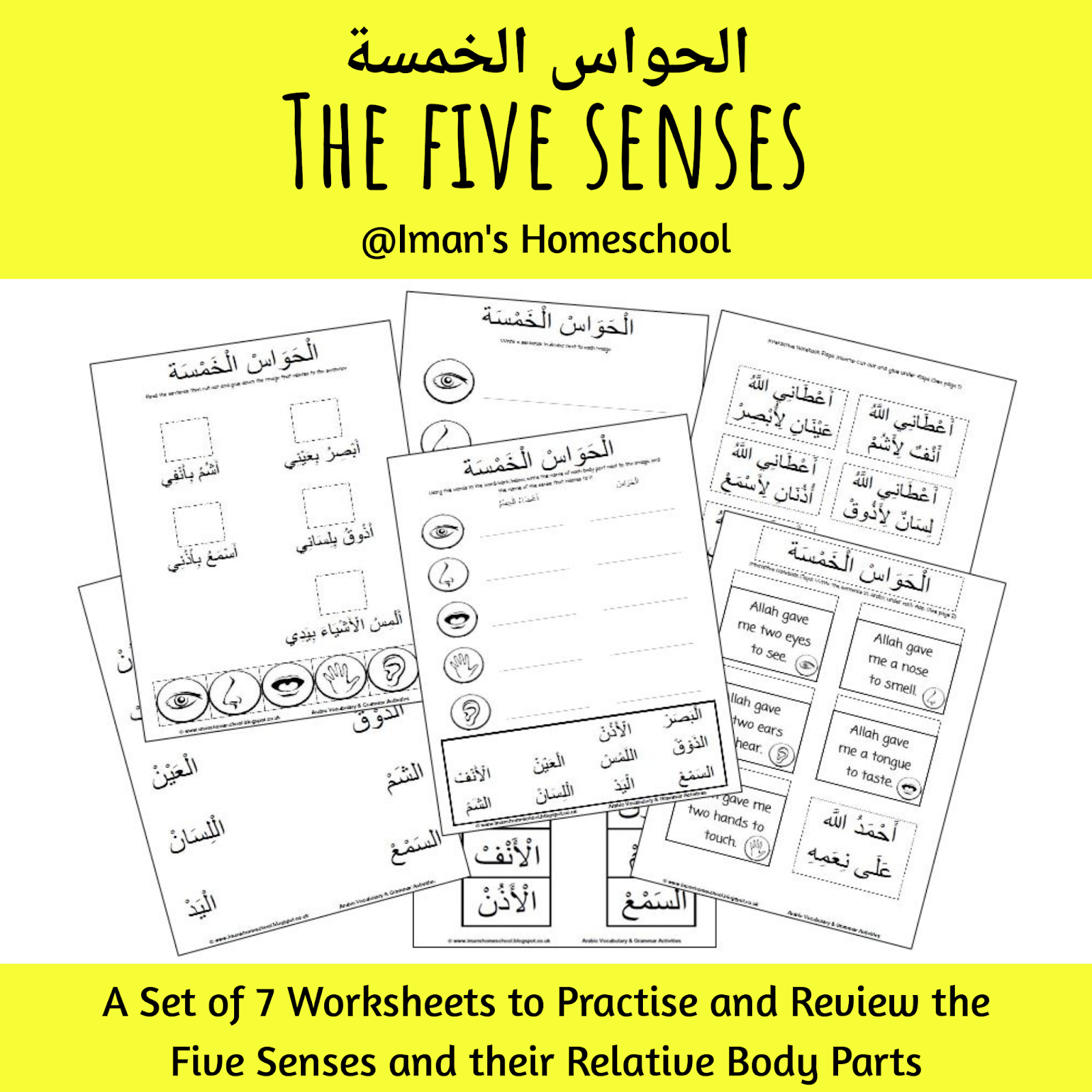 Iman's Home-School: Al-Hawaas al-Khamsah (The 5 Senses) - An Arabic ...