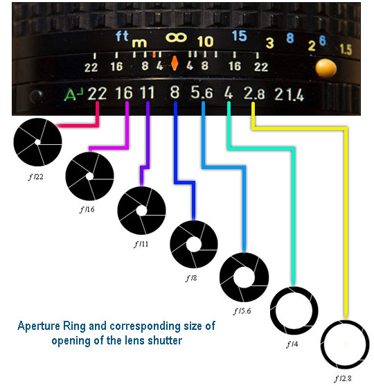 School Of Digital Photography: What is Aperture in Photography