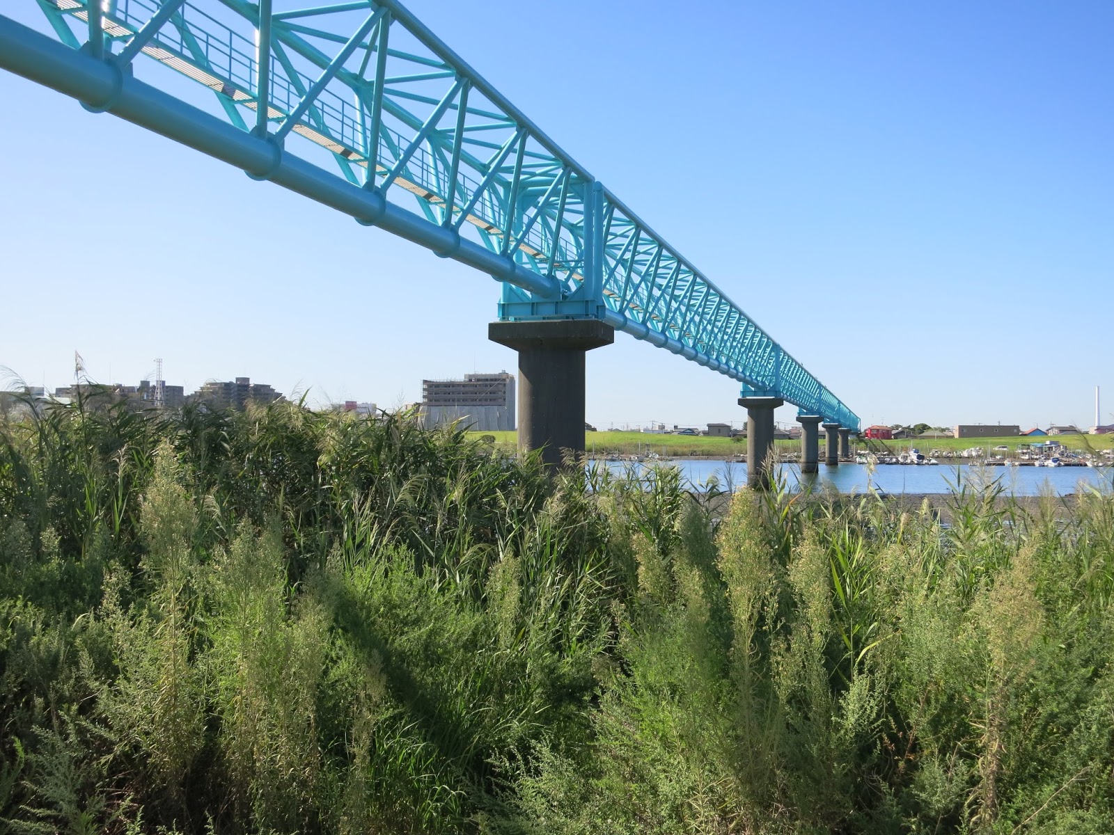 Bridge of the Week: Tokyo Prefecture, Japan's Bridge's: Utility and ...