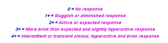 Doctors Gates: Grades of deep tendon reflexes