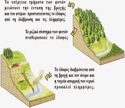 Ερευνώ, μαθαίνω, δρω: ΔΙΑΒΡΩΣΗ ΤΟΥ ΕΔΑΦΟΥΣ