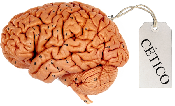 CETICISMO ~ Apologia Ao Conhecimento