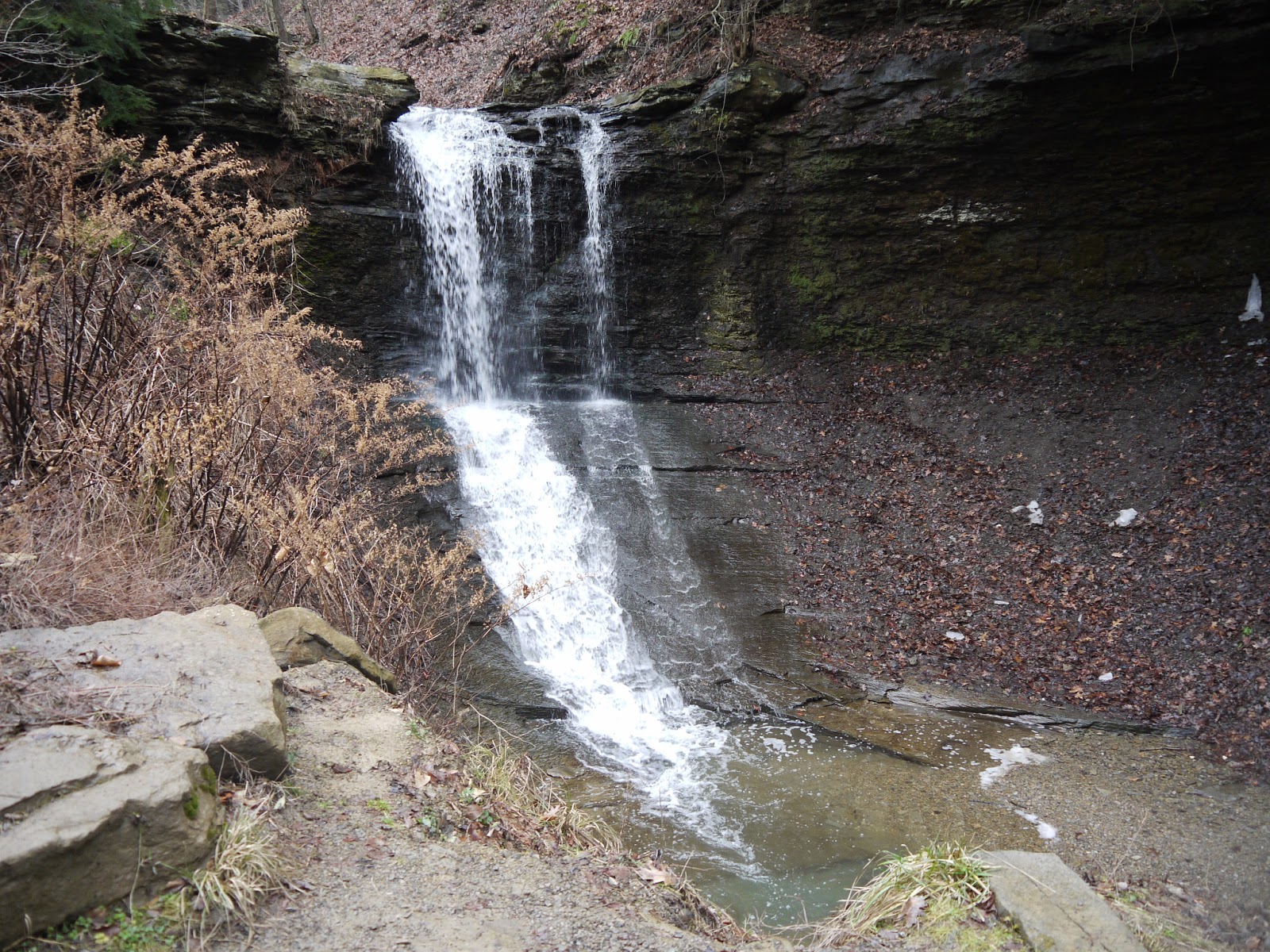 Waterfalls of Pennsylvania : Falls Run Falls