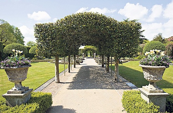 TYWKIWDBI ("Tai-Wiki-Widbee"): Word for the day: "pleaching"