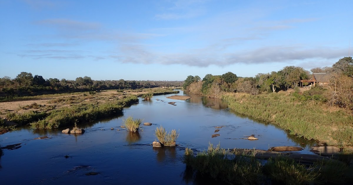 Worldbirder: Sabie Park in winter