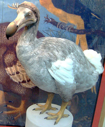 Back of the Cereal Box: Speaking Ill of the Extinct