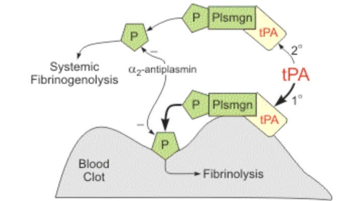 Fibrinolisis dan Antifibrinolitika