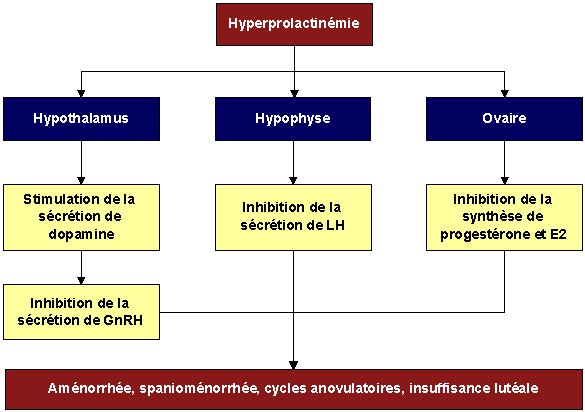 Comment maîtriser la procréation?: 1.1 Les causes de l'infertilité ...