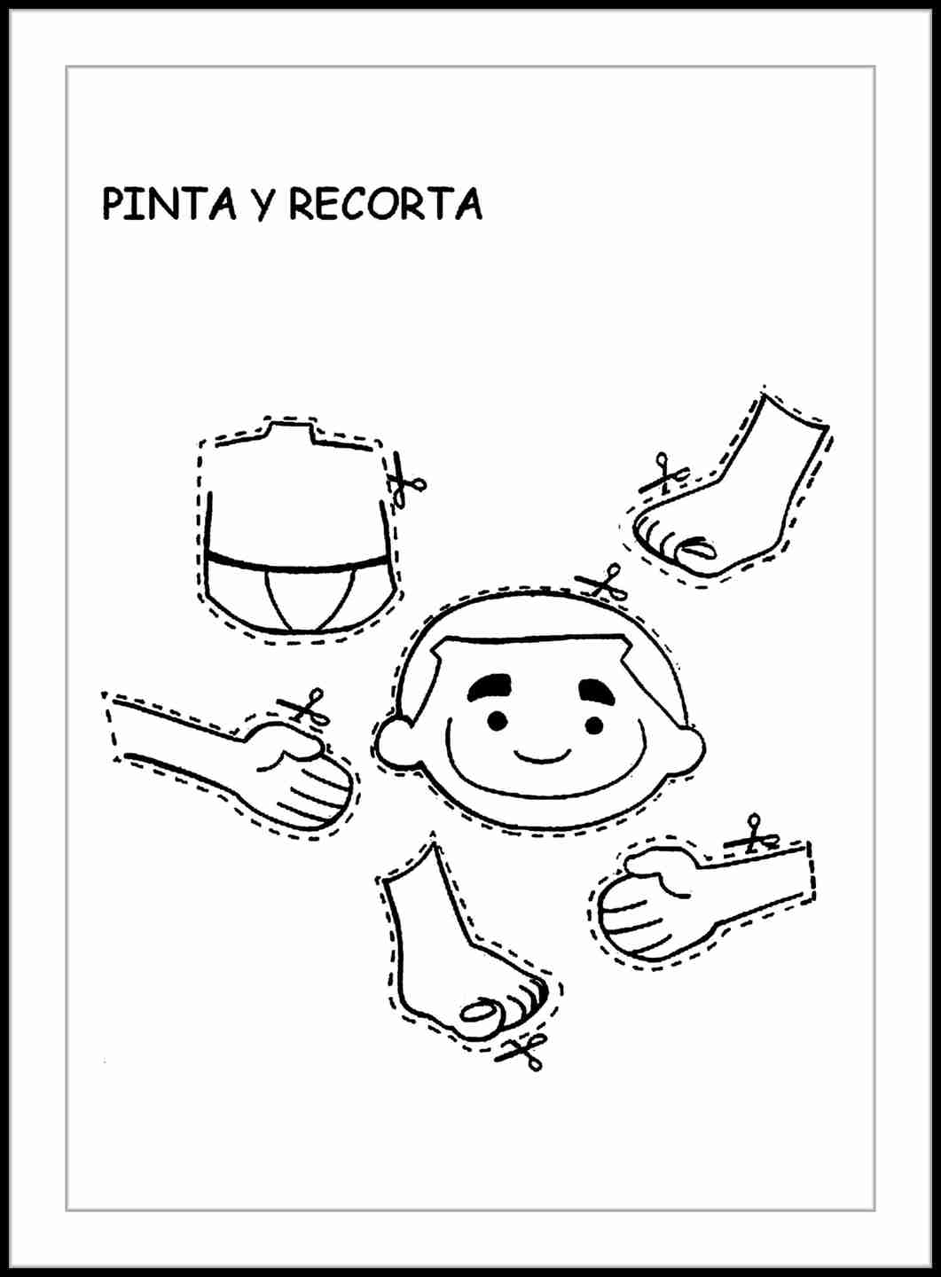 Partes Del Cuerpo Humano Para Recortar Y Armar Las Manualidades Del Sexiz Pix