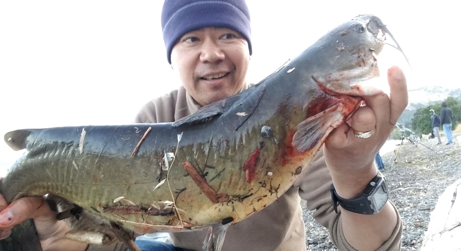 Oregon Surf Fishing Championship: Catfish Photos
