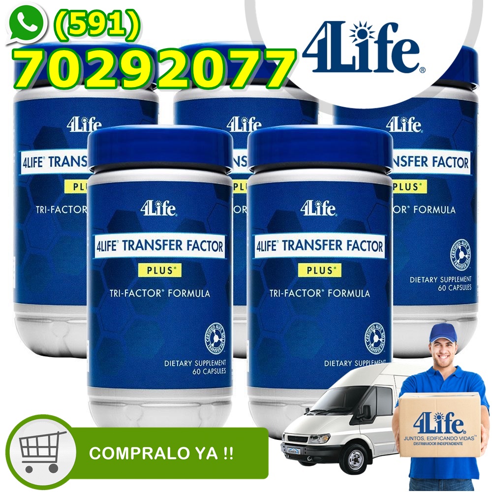 FactordeTransferenciaTarija – La Compañía del Factor de Transferencia ...