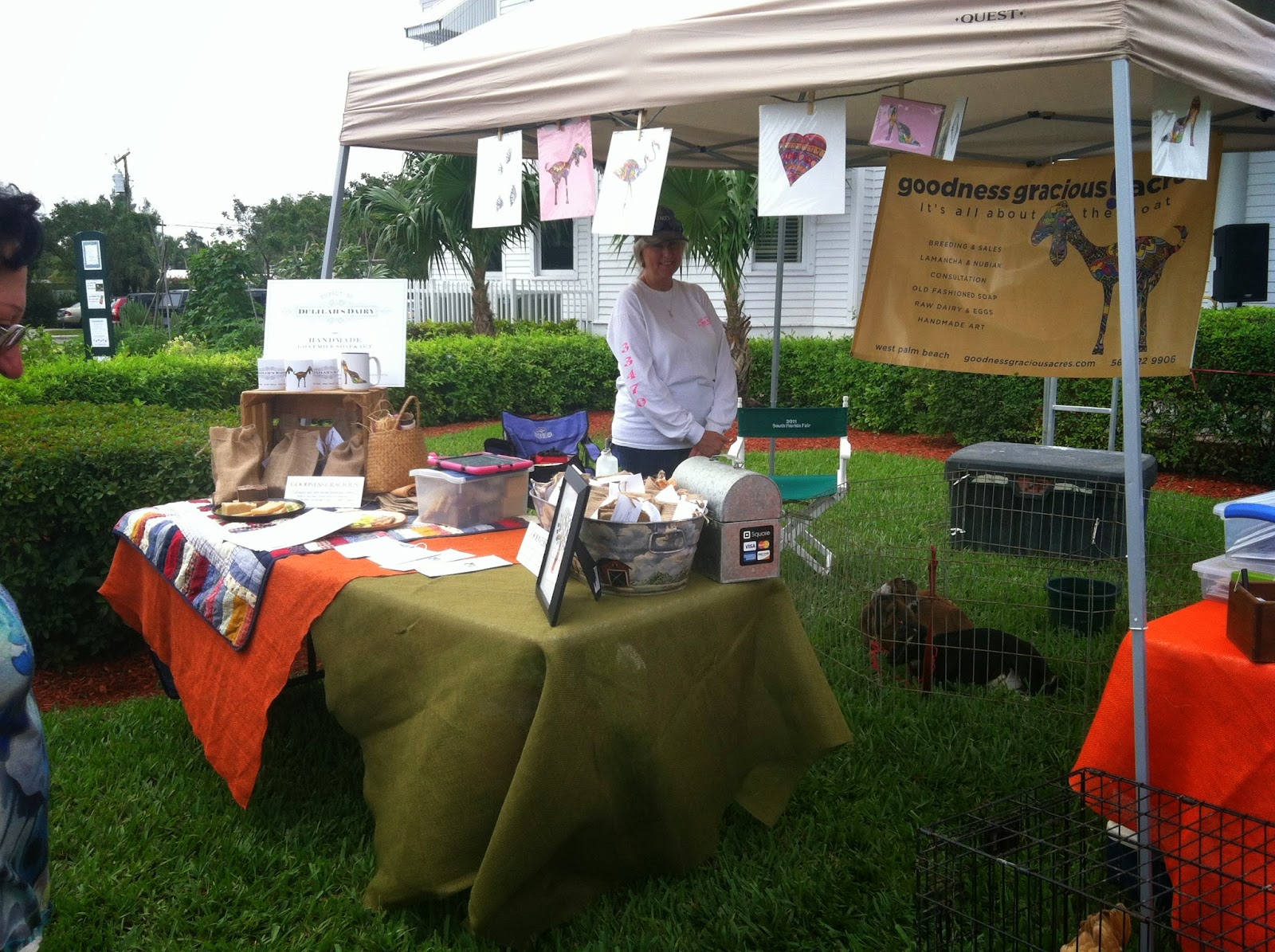 GOODNESS!GRACIOUS ACRES: evolution of a farm booth