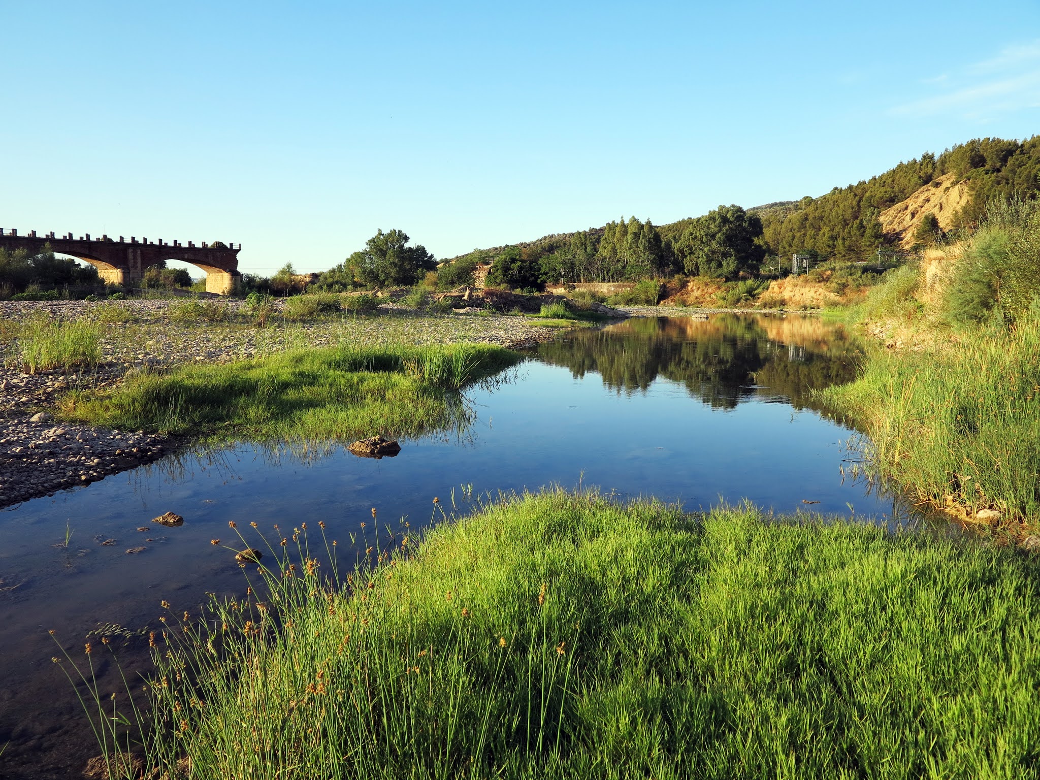 Una vita per la pesca: 16 luglio - Il fiume Basento tra Ferrandina e ...