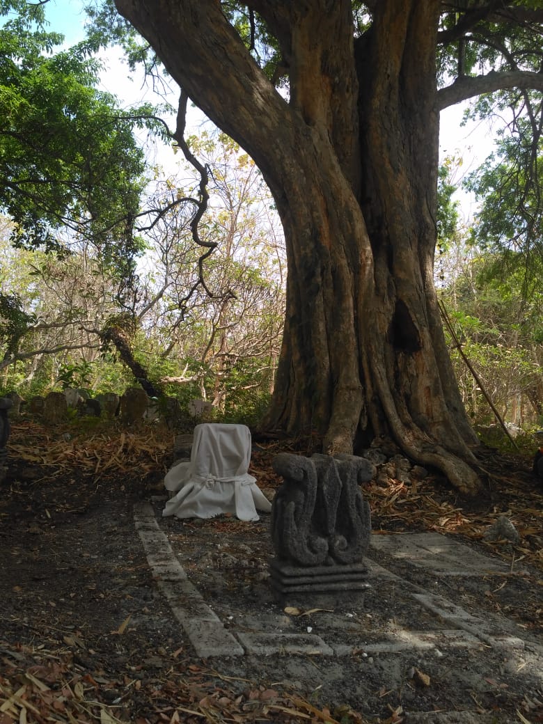 Expedisi Makam Mbah Mambang ~ PPMP