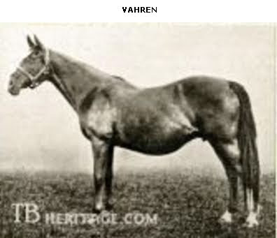 Turfe e Élevage: 2020