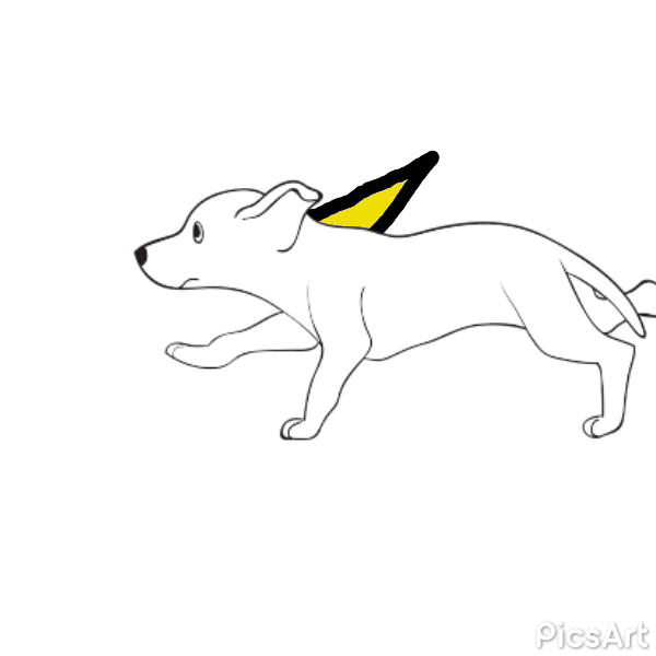 STORIES FOR EVERYONE A Cunning Dog Short Stories For Kids stories-for-everyone-a-cunning-dog-short-stories-for-kids