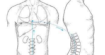 Blog Le Souffle du Menhir: Méridien Luo de communication du Rein (zu ...