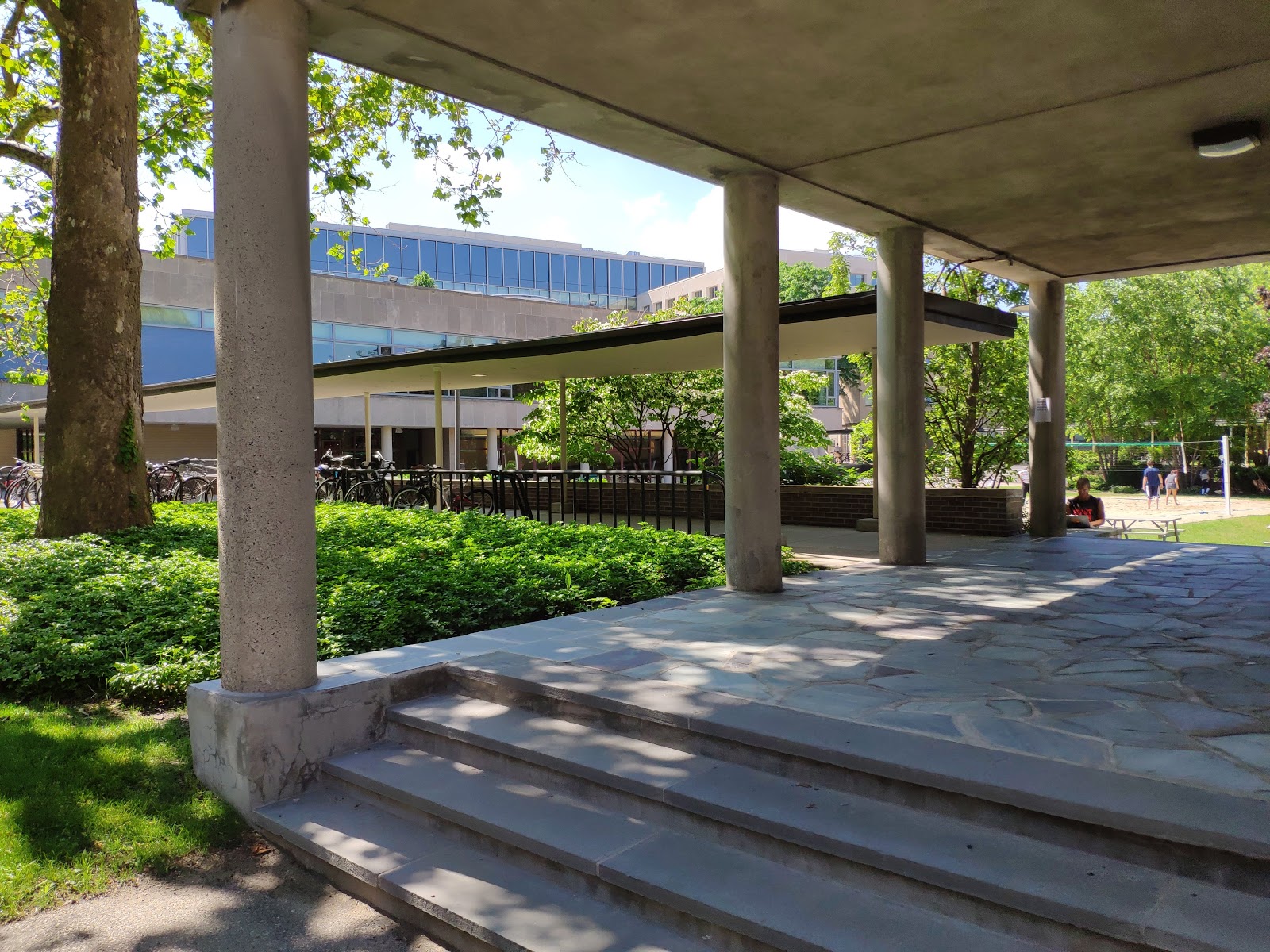 EntreVoir: Harvard Graduate Center - Walter Gropius