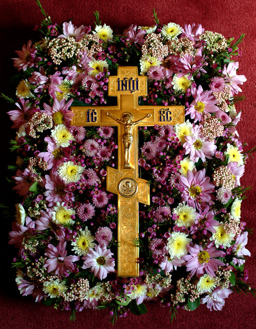 Pauca Verba: Feast of the Exaltation of the Holy Cross