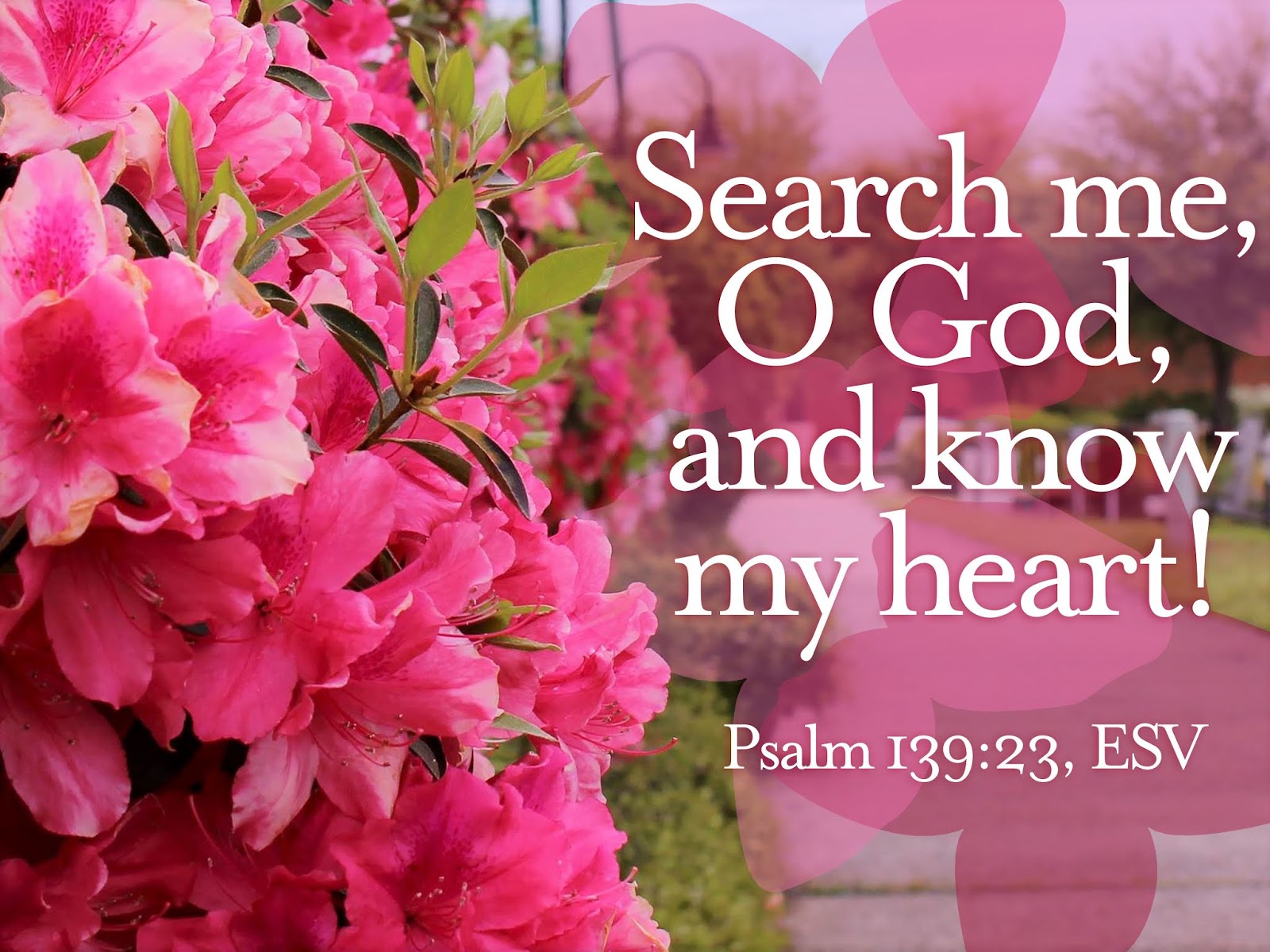 Eastridge Daily Devotion Psalm 139 eastridge-daily-devotion-psalm-139