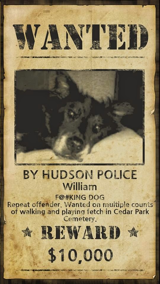 The Gossips of Rivertown: Man's Best Friend or City's Favorite Scapegoat?