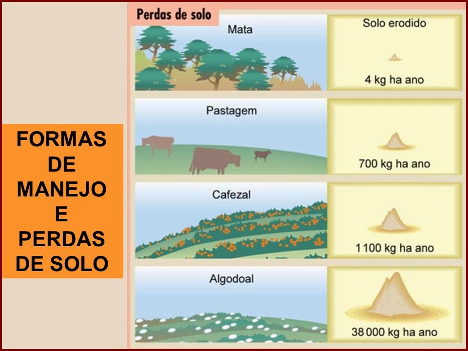 Geo - Conceição : TIPOS DE SOLOS DO BRASIL.