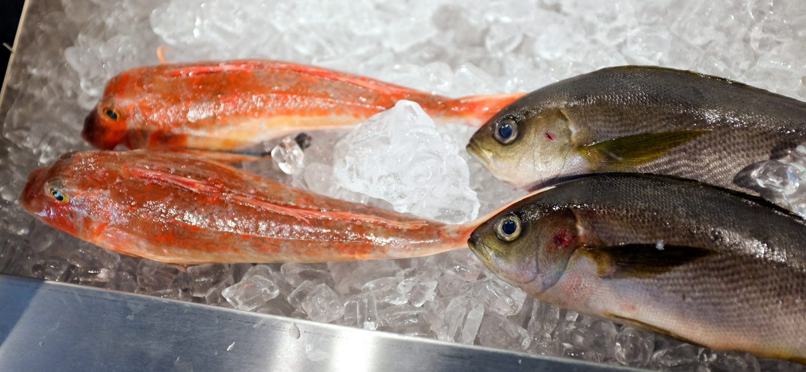 Eat Drink KL | The Fat Fish @ Mont Kiara