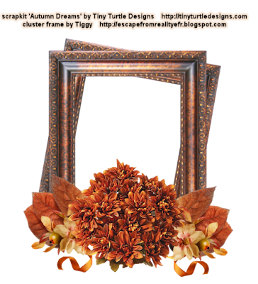 Escape From Reality Blog: FTU Cluster Frames TTD 'Autumn Dreams'