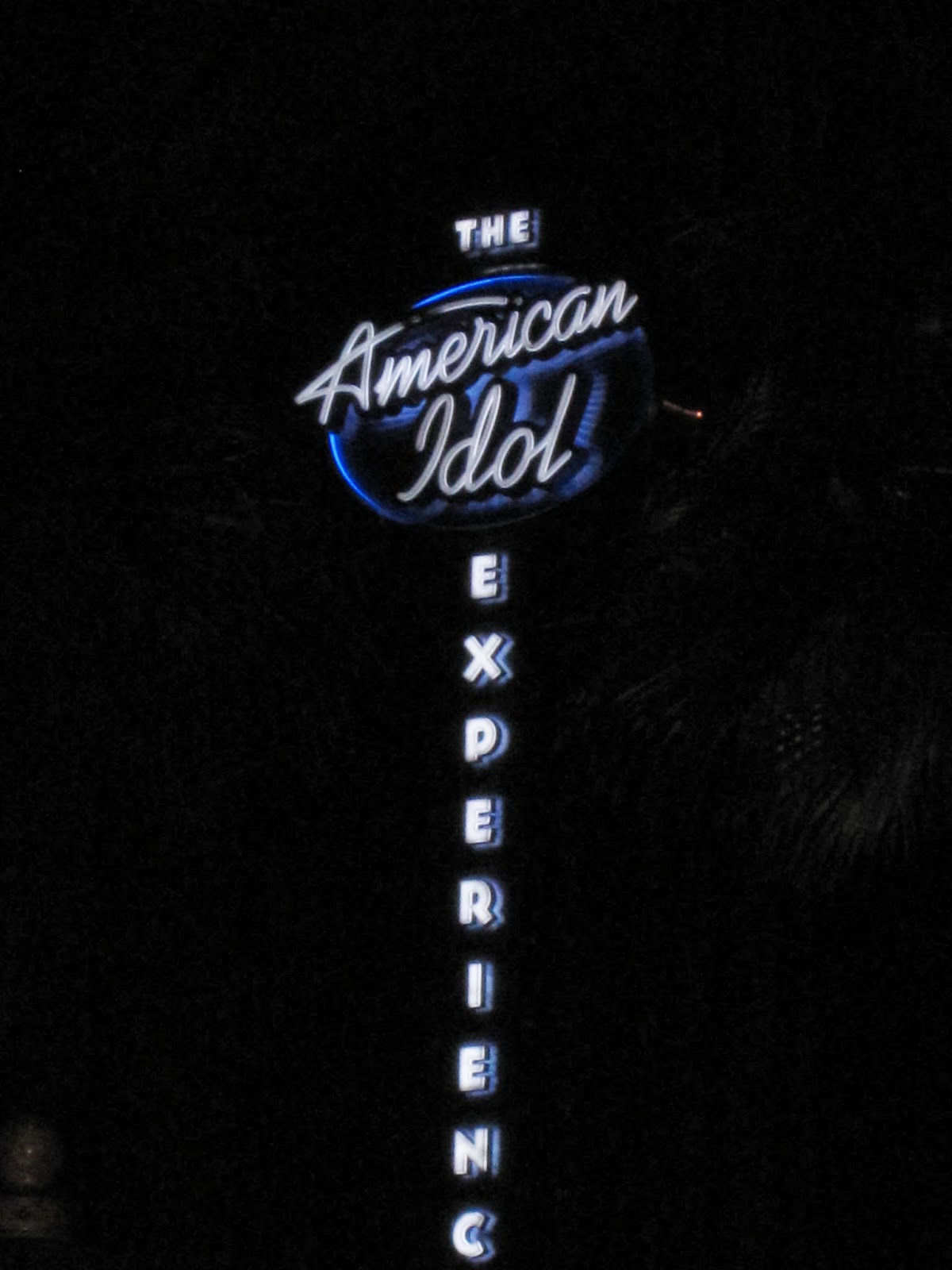 Yo Ho Yo Ho A Blogger's Life For me!: The American Idol Experience...