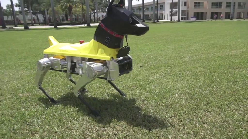 Buscandolado La Verdad-MaEl: ¿MEJOR AMIGO DEL HOMBRE? A.I ROBO-DOG ...