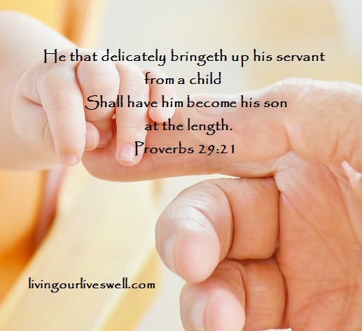 Living Our Lives Well: Proverbs 29 Scripture Pictures