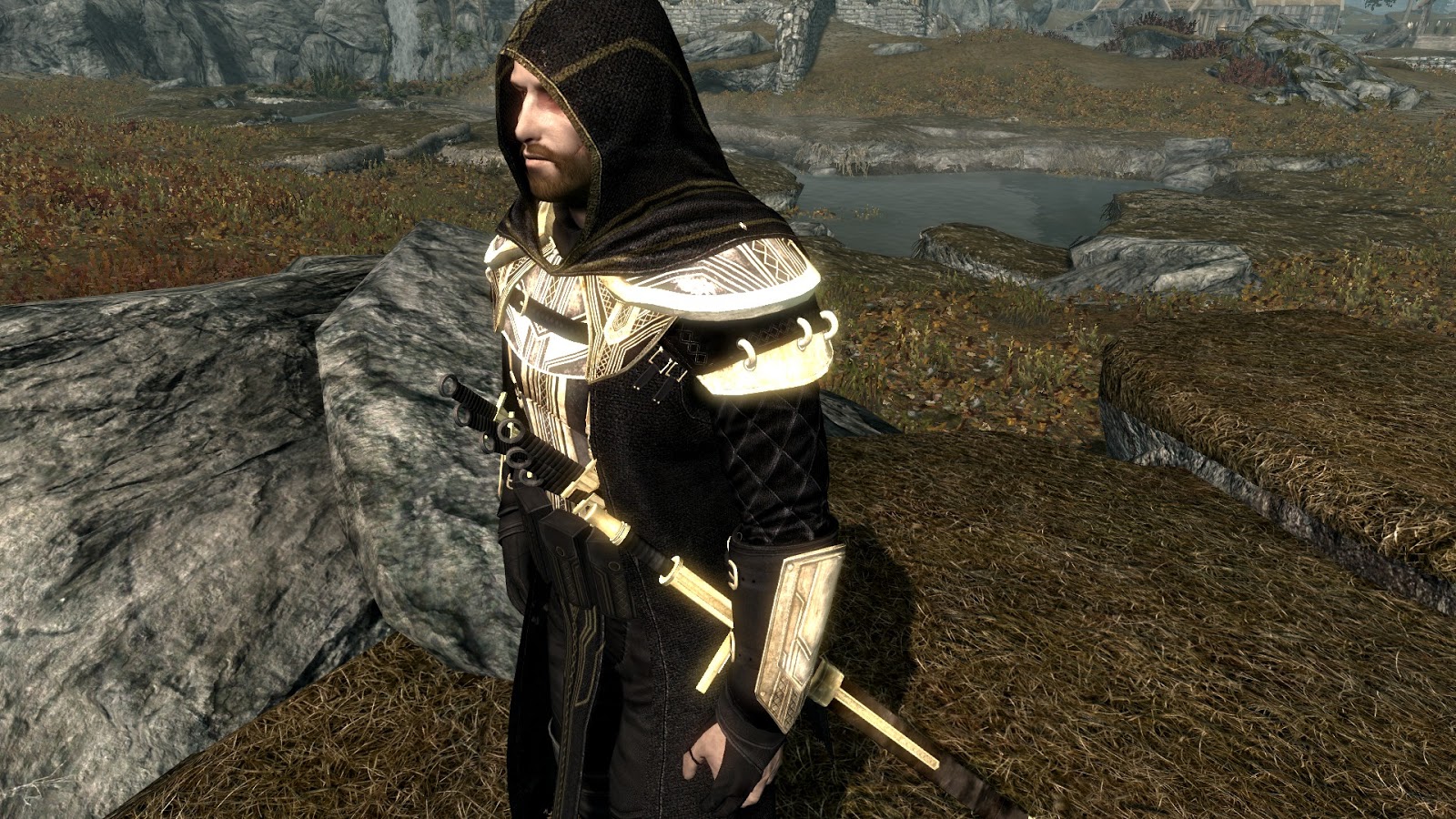 The Elder Scrolls Online - Breton Knight Armor