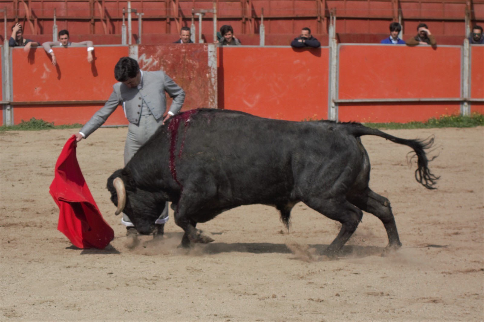 Toro, Torero y Afición: MARZO I : (Festejo 7º) Toros de Adolfo ...