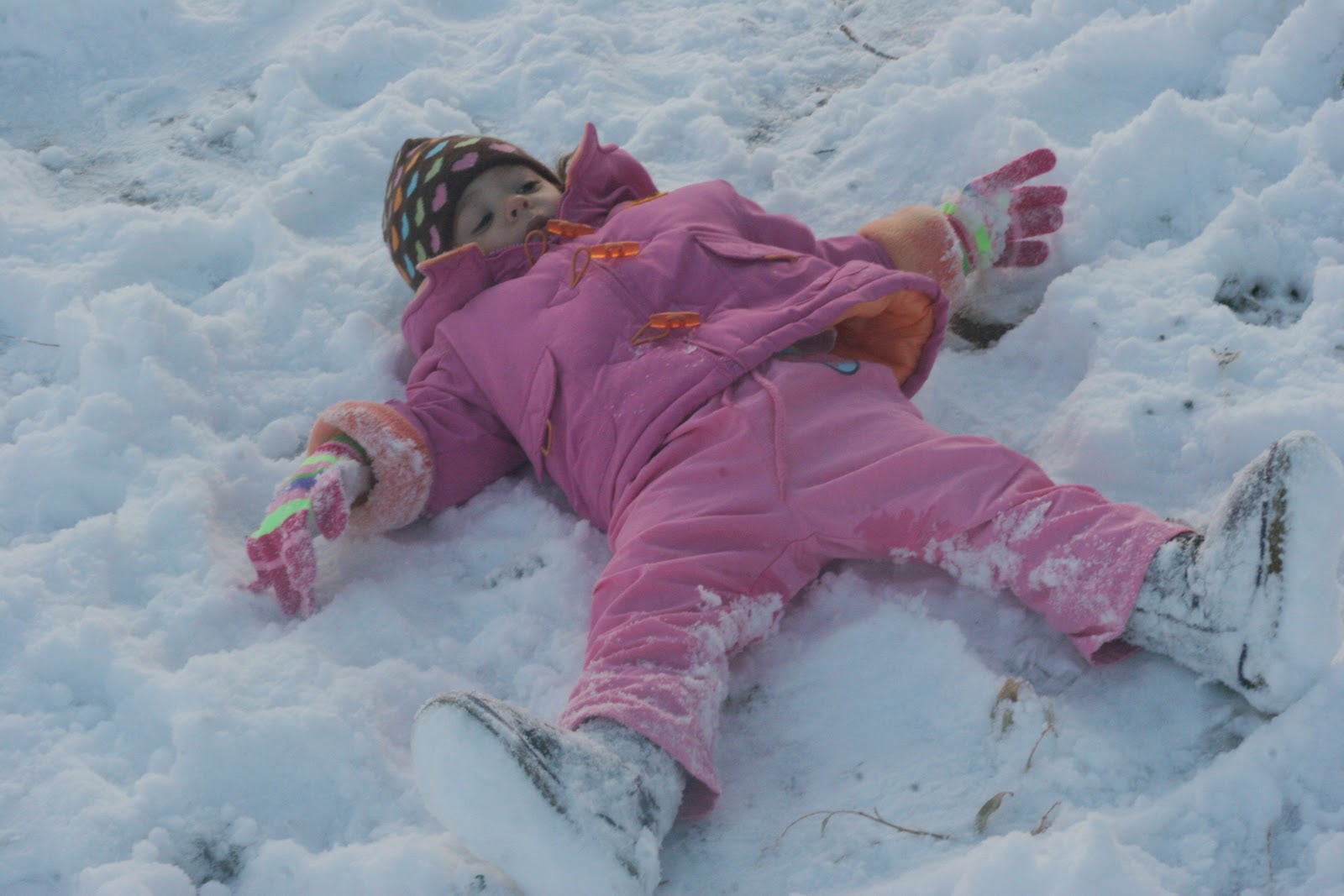 The Nelson Family Blog