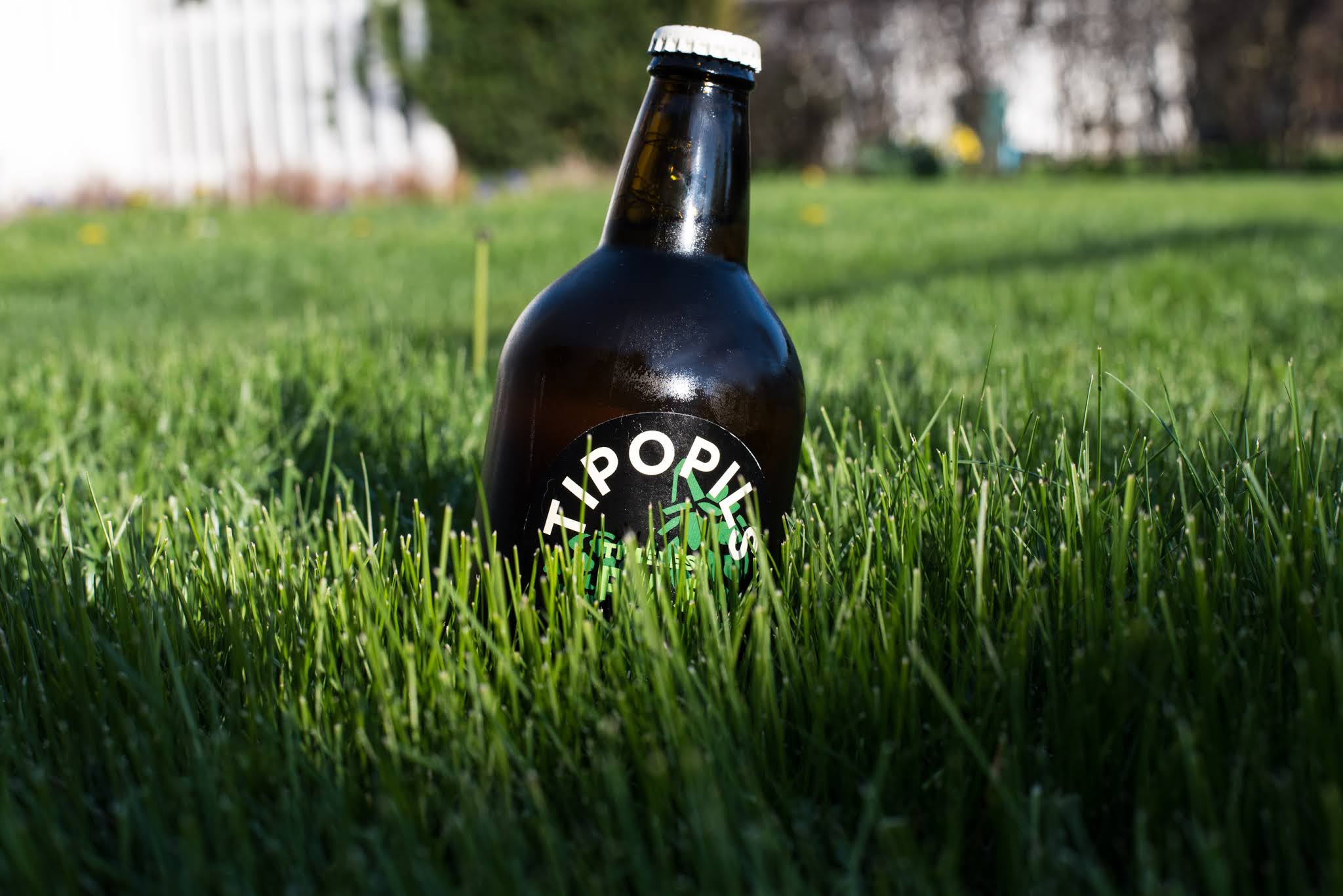 Veckans tips - Tipopils | Portersteken