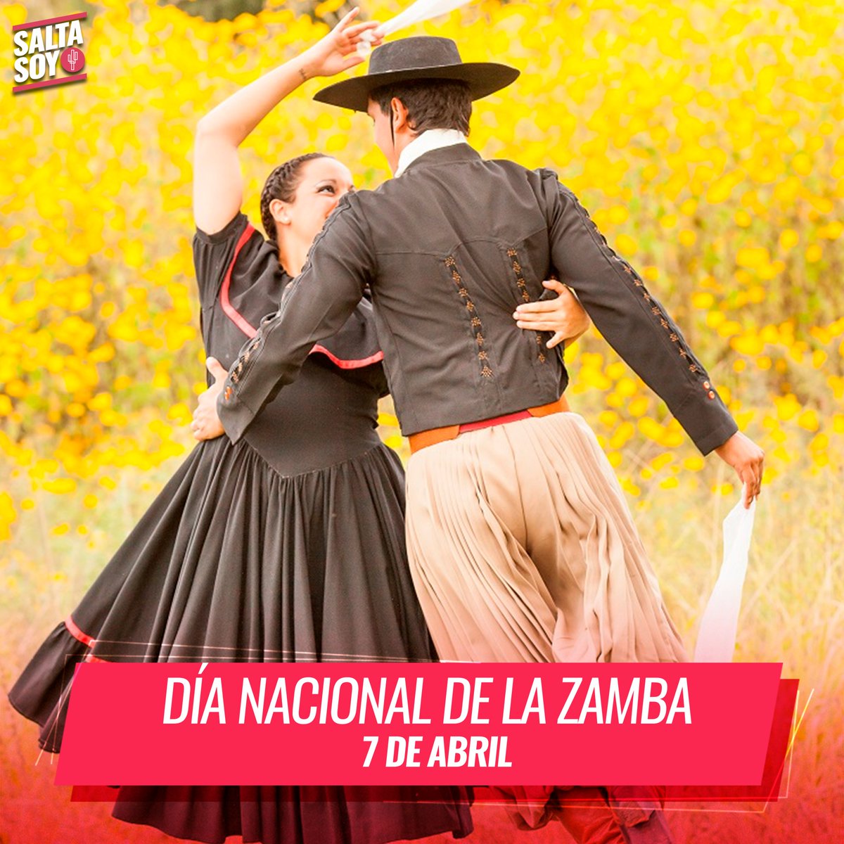 El Magazin de Merlo: CELEBRAMOS el DIA NACIONAL de la ZAMBA. Bailemos y ...