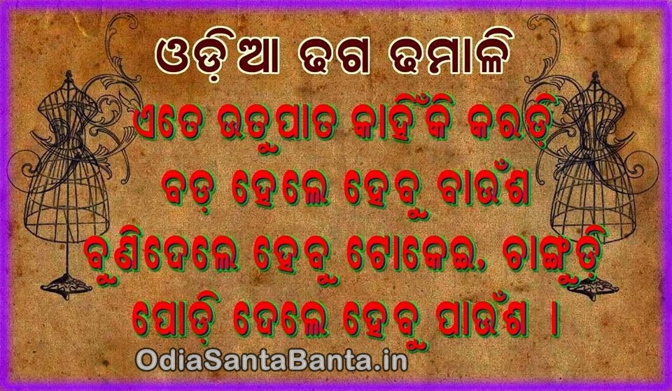 Odia Dhaga Dhamali collection 3